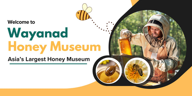Wayanad Honey Museum – Asia's Largest Honey Museum in Vythiri, Wayanad